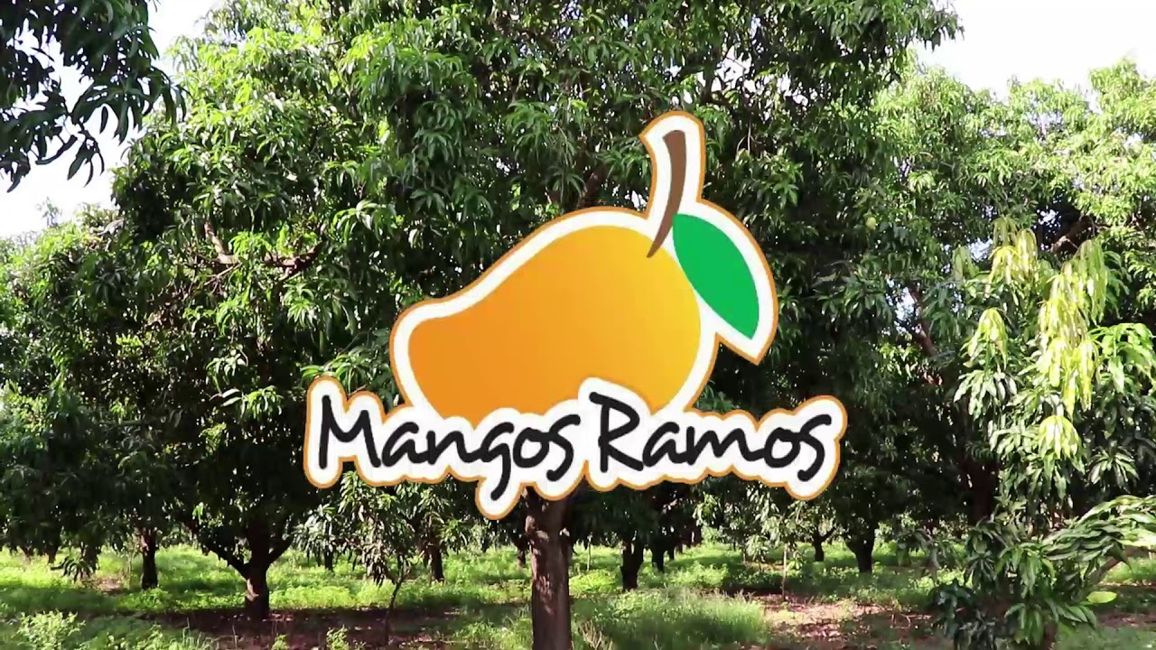 Mangos Ramos - YouTube