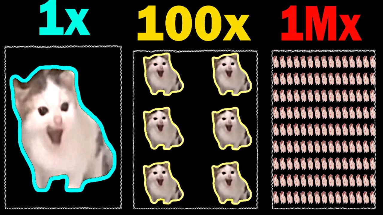 German Cat Meme - Over 1 million Times - YouTube