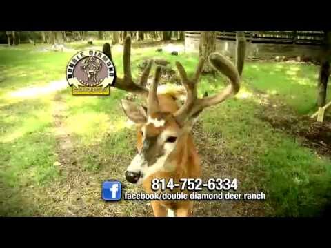 Farmers Inn and Double Diamond Deer Ranch - YouTube