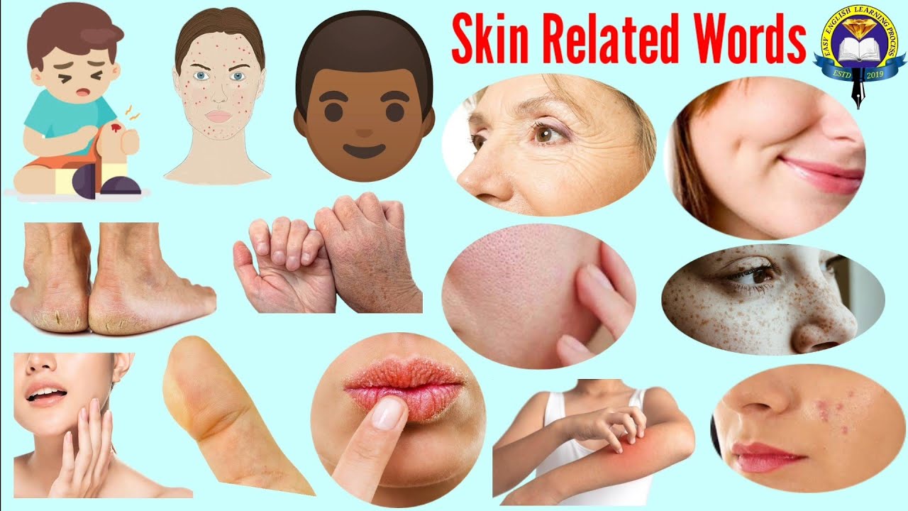 Skin Related Words | Skin English Vocabulary | Skin | Easy English ...