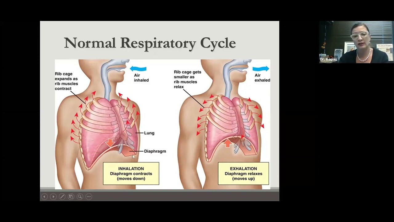 Physician Perspective: Webinar with Dr Lisa Kopas & Treatment for COPD ...