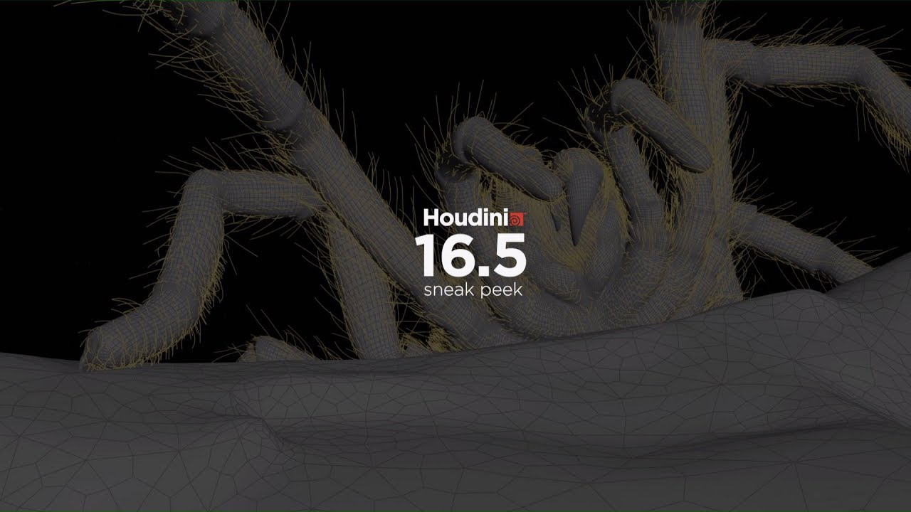 Houdini 16.5 Sneak Peek - YouTube