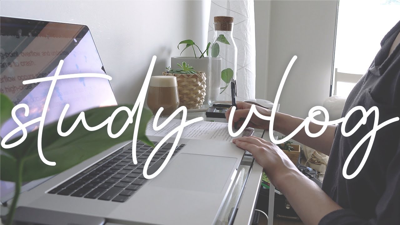 studying for a midterm during summer school 🙃| productive study vlog ...