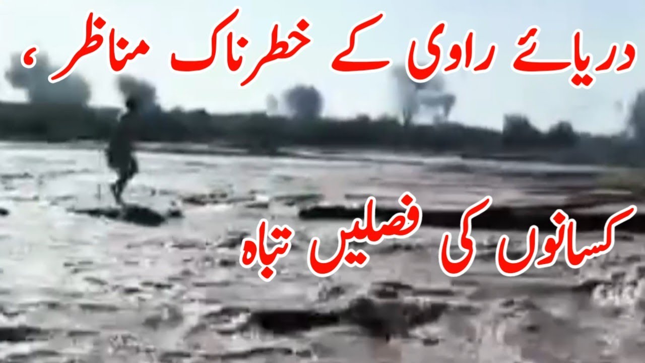 Ravi river News today | Darya ravi latest update today | Flood news ...
