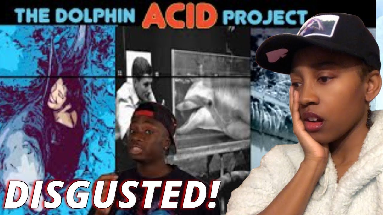 DISGUSTING!!! Scientist Reacts to The Experiment that Broke a Dolphin's ...