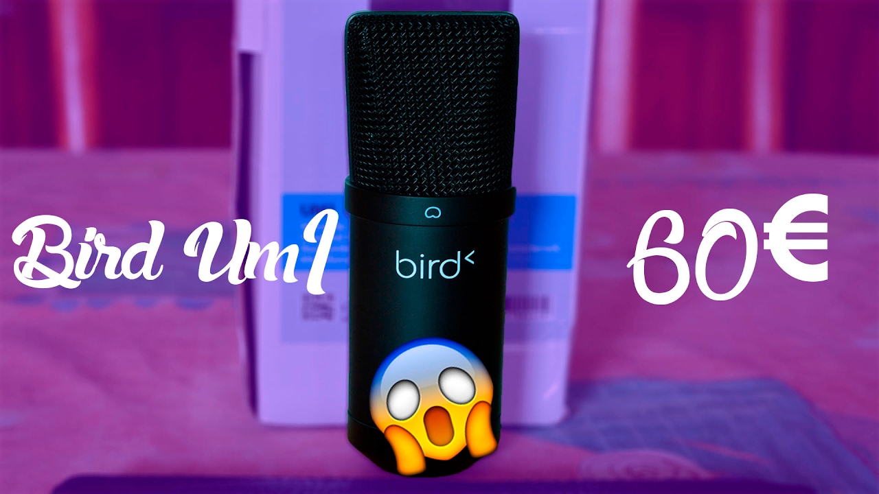 LE MEILLEUR MICRO DE YOUTUBEUR - BIRD UM1 - YouTube