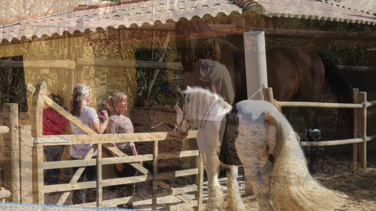 Retreat w/ Frederic Pignon, Magali Delgado and Barbara Alexander - YouTube