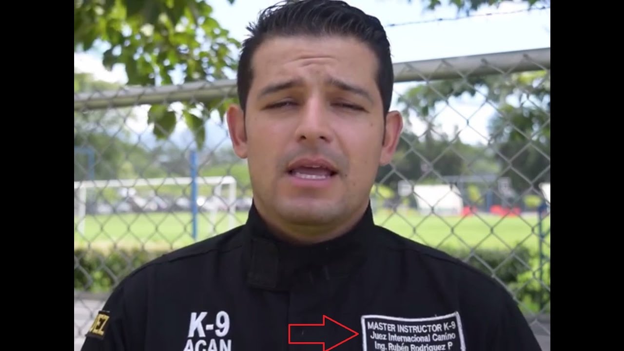 "Certificaciones" o "avales" de Rubén Rodriguez Presidente de ACAN ...