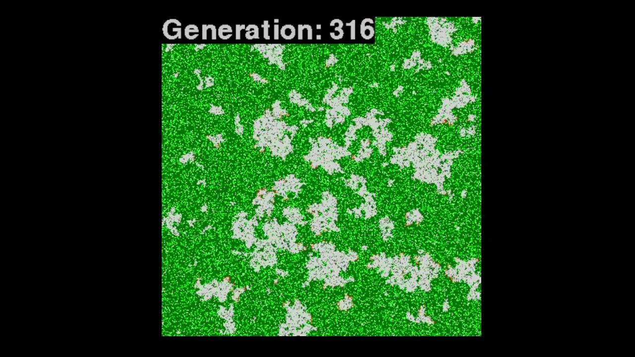 Forest Fire Simulation based on Cellular Automata - YouTube