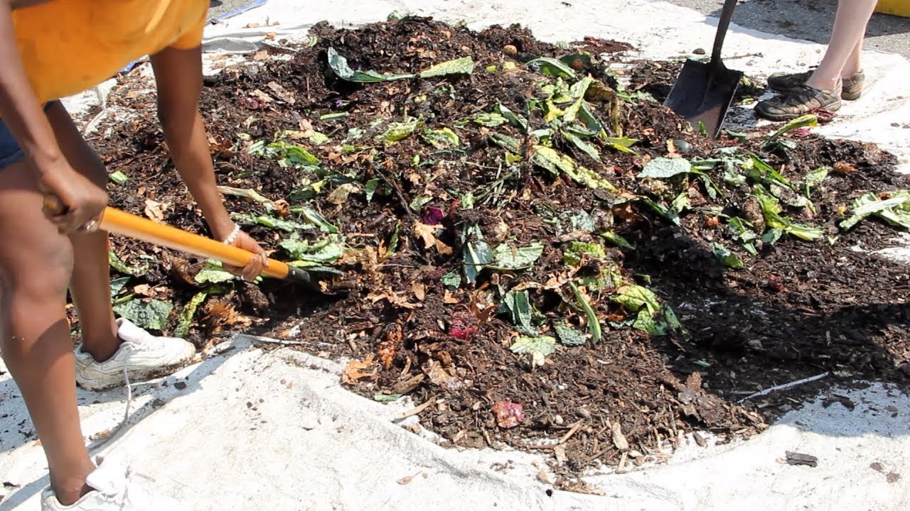 Volunteering with Harvest Cycle - YouTube