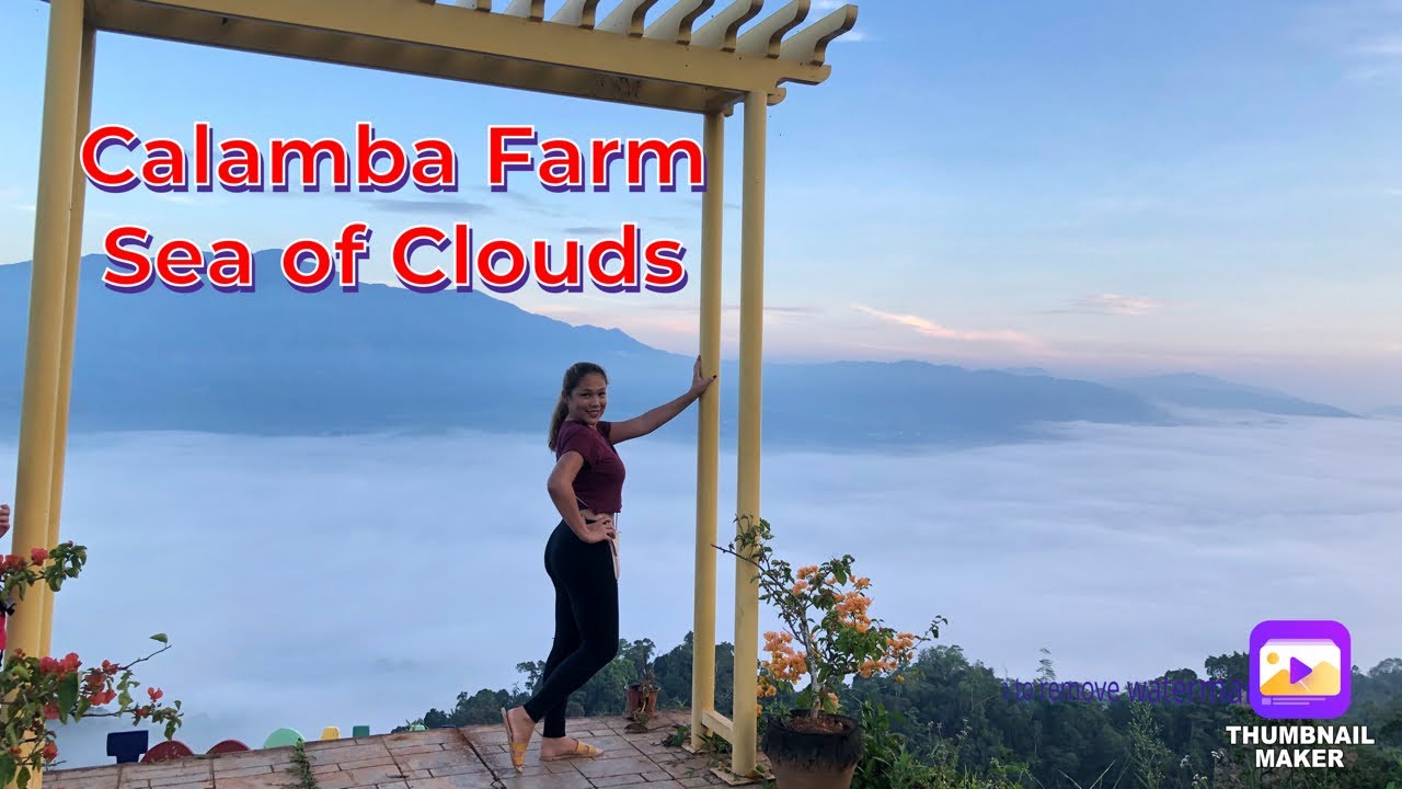 Calamba Farm Sea of Clouds Maragusan Davao De Oro - YouTube