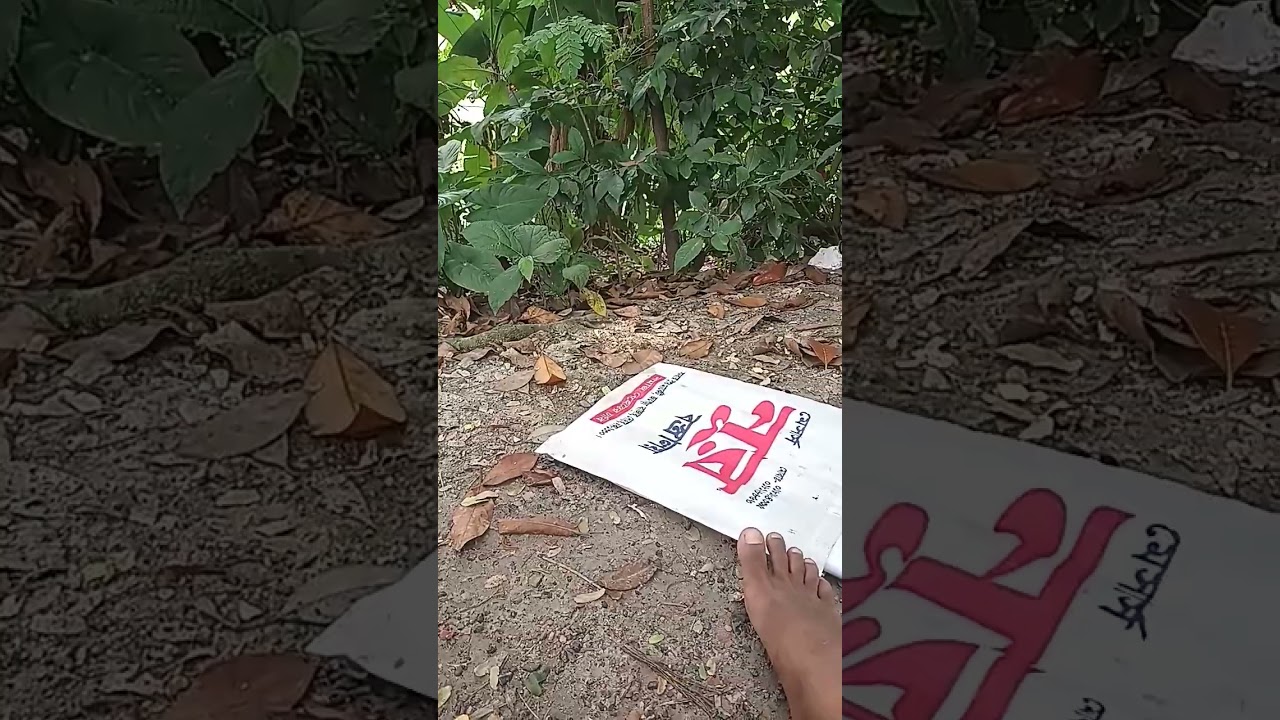 MD Ebrahim - YouTube