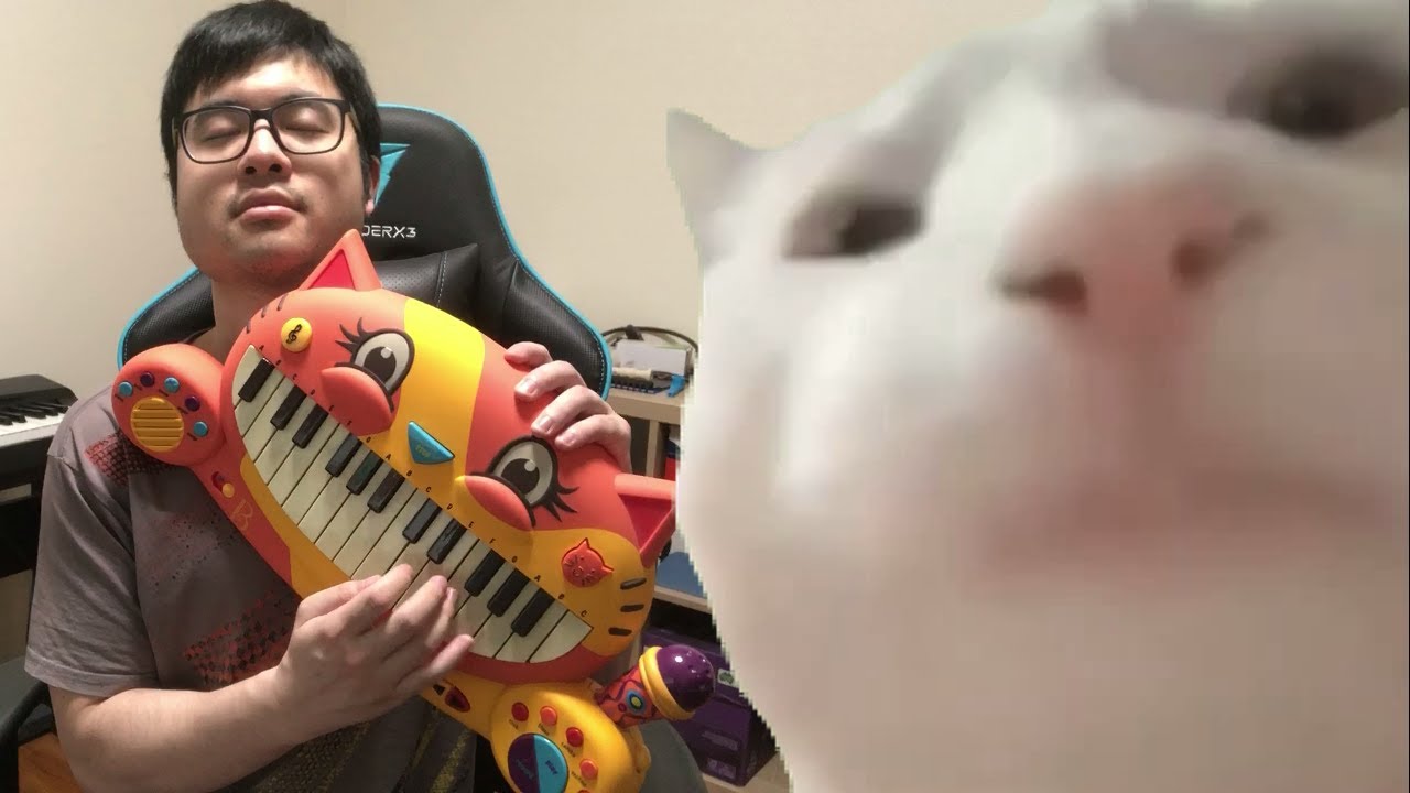 Cat Vibing to Ievan Polkka on Cat Piano - YouTube