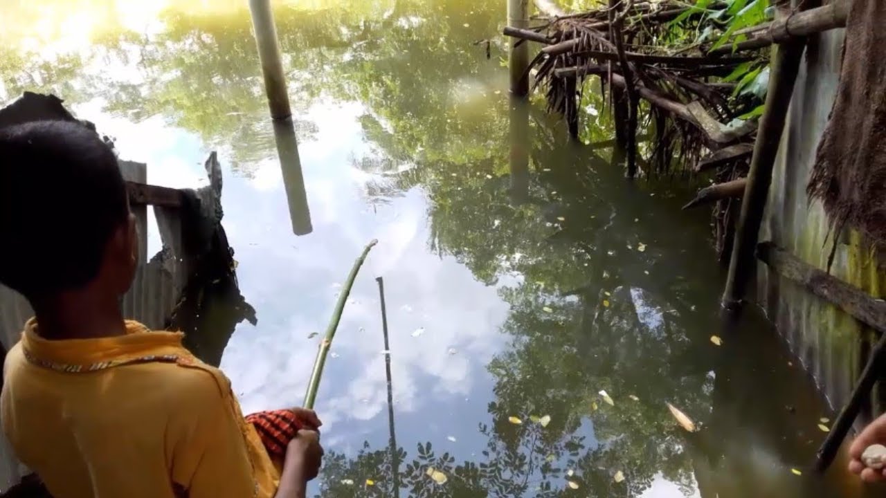 Best Fish hunting | Awesome Fishing in the village | Fishing using a ...