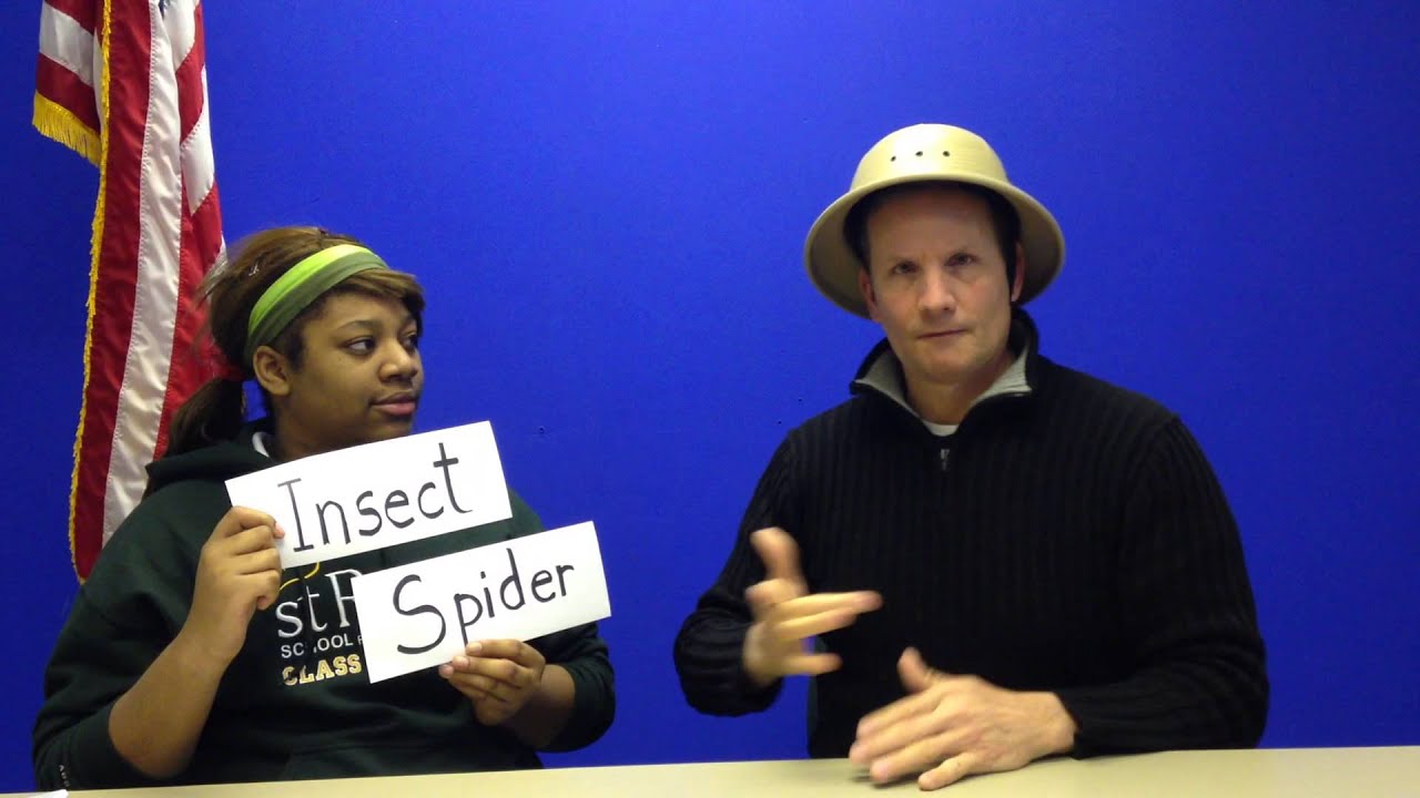 St. Rita teaches about insects and spiders in ASL - YouTube