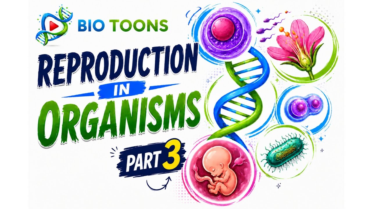 NEET Biology (Class12) Reproduction in Organisms Part - 3 | NCERT Line ...