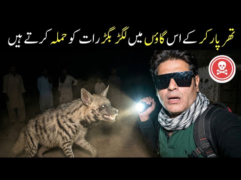 Exploring Dangerous Villages in Thar Desert