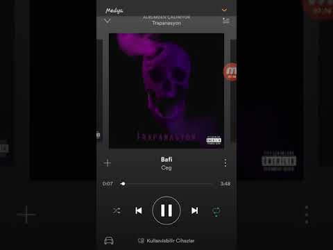 Ceg-Bafi