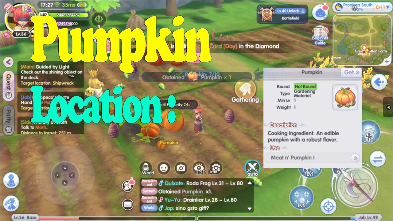 Pumpkin Location Ragnarok X Next Generation - YouTube