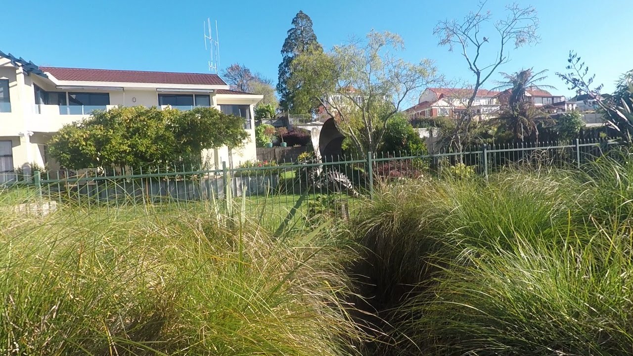 Hamilton Lake Domain Trail Part 3 (Part 3 of a 3-part series) - YouTube