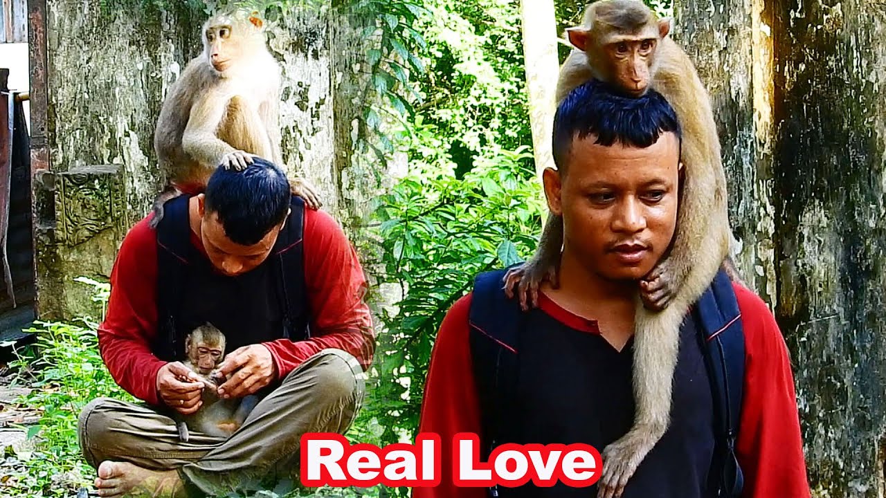 Liza monkey & Libby jump to ride on neck of Mr Kna so friendly| This is ...