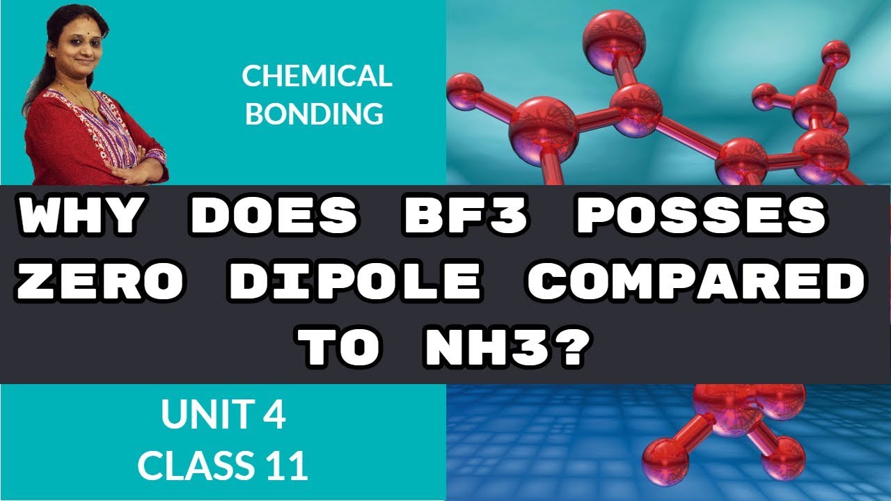 Why does BF3 posses zero dipole compared to NH3?UNIT-4|CBSE Class ...