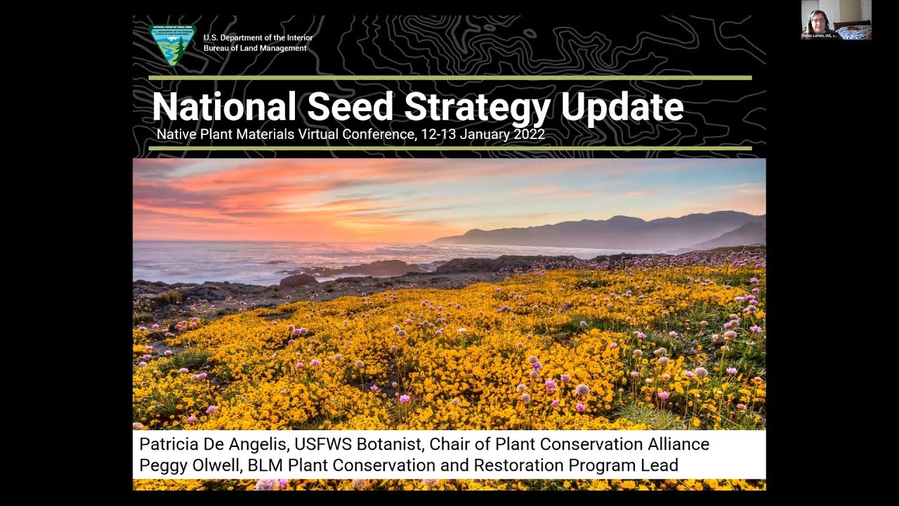 Native Seed Strategy Update - YouTube