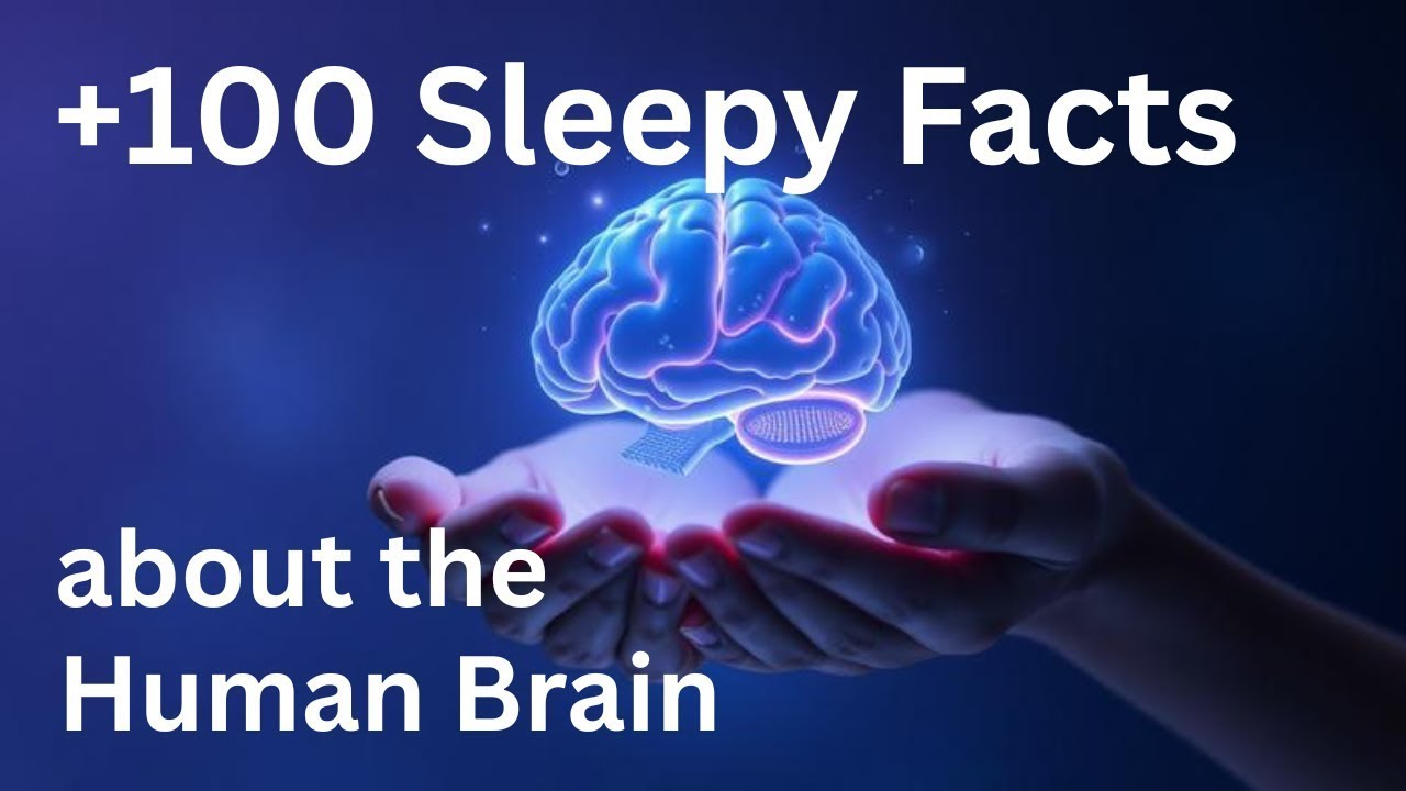 Slow & Relaxing Human Brain Facts to Fall Asleep To - YouTube