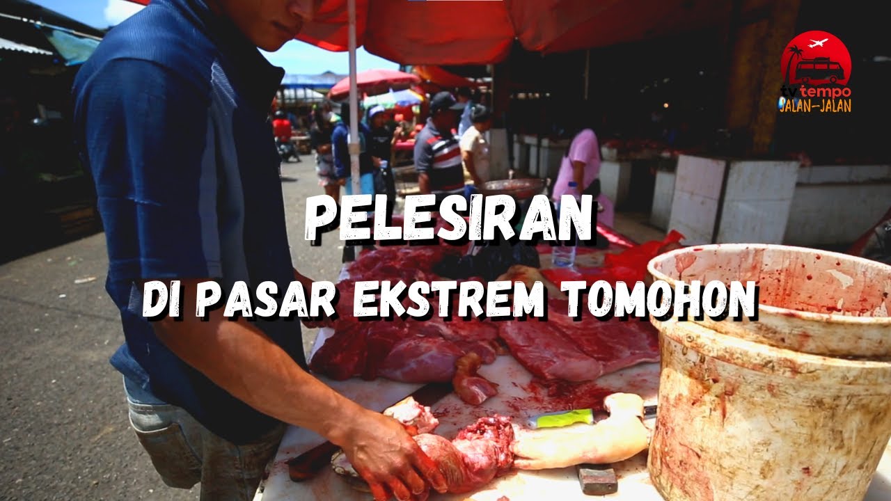 Makanan Ekstrem di Pasar Tomohon | DESTINASI - YouTube
