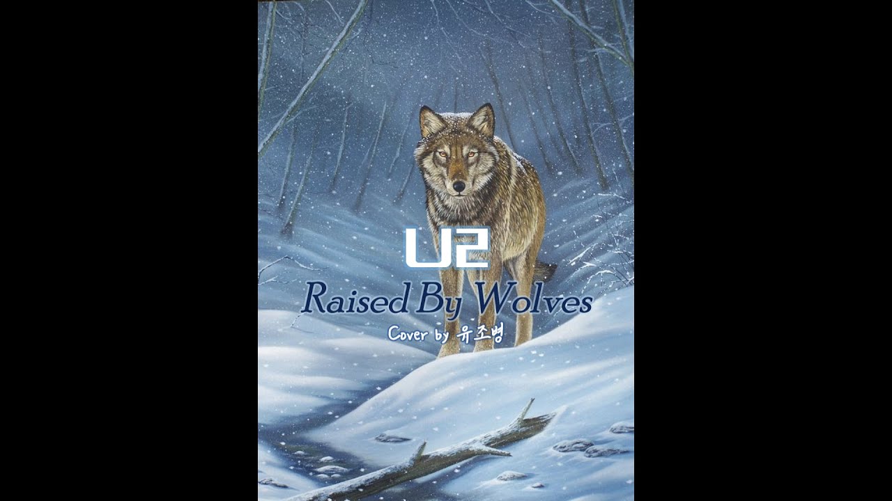U2 - Raised By Wolves (COVER by 성치) ｜Lyric Video(리릭비디오) & Illustration ...