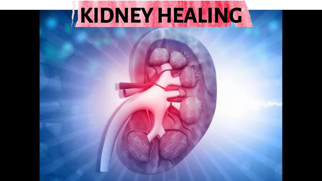 #1 ABSOLUTE BEST WAY TO HEAL YOUR KIDNEYS - YouTube