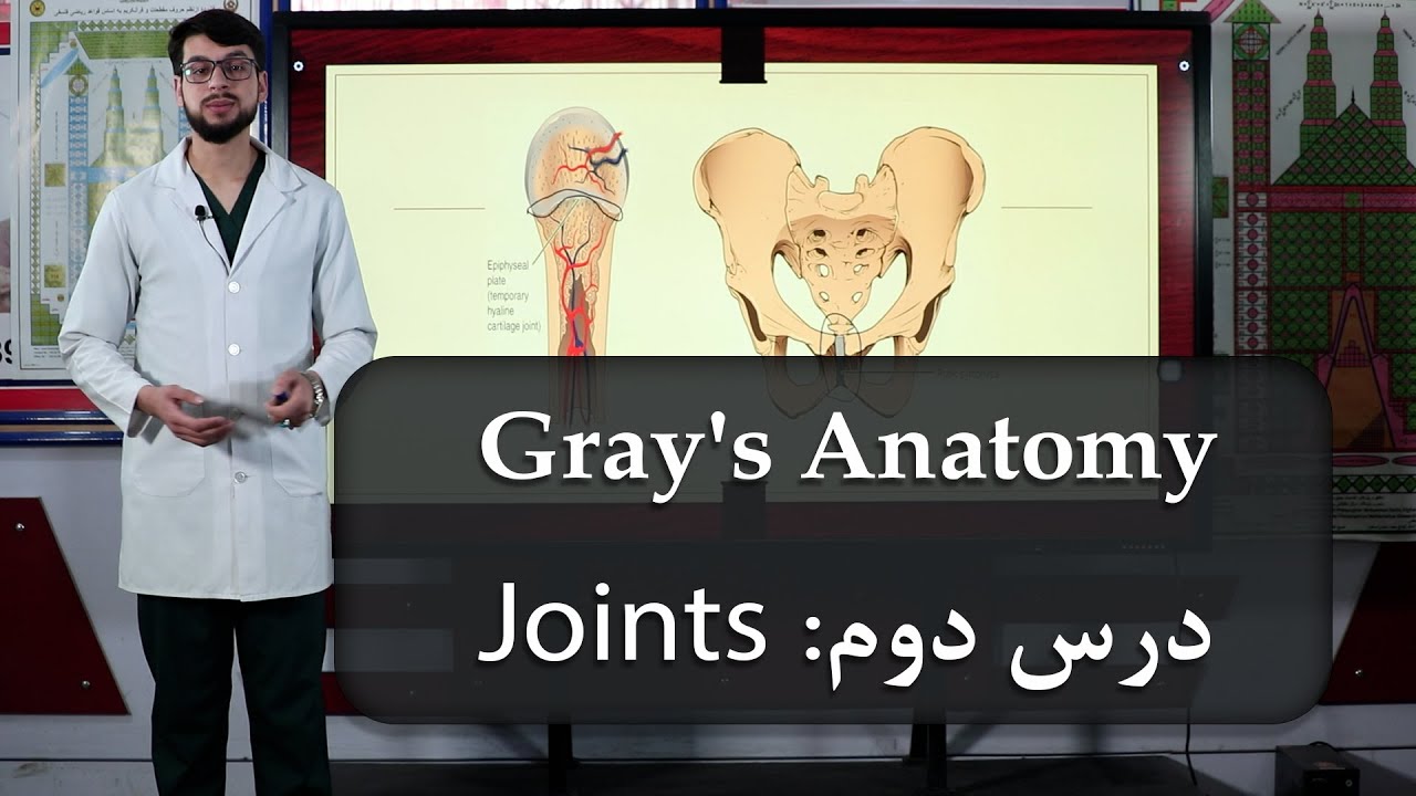 | Gray's Anatomy | Joints : تدریس آناتومی توسط داکتر نصیر احمد امیری | درس دوم - YouTube