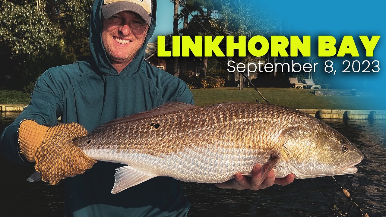 Linkhorn Bay - Sept 8, 2023 Highlights - YouTube