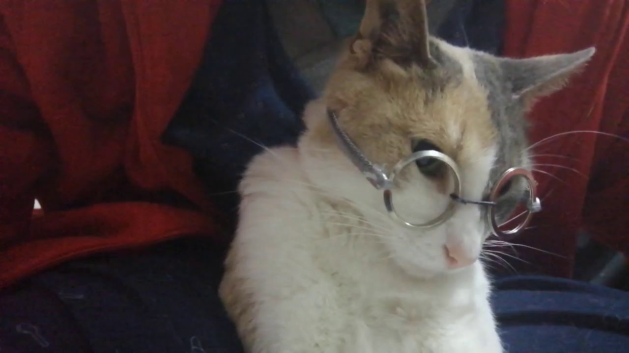 calendario matemático - Manuel Licona | ft. El Gato Matematico - YouTube