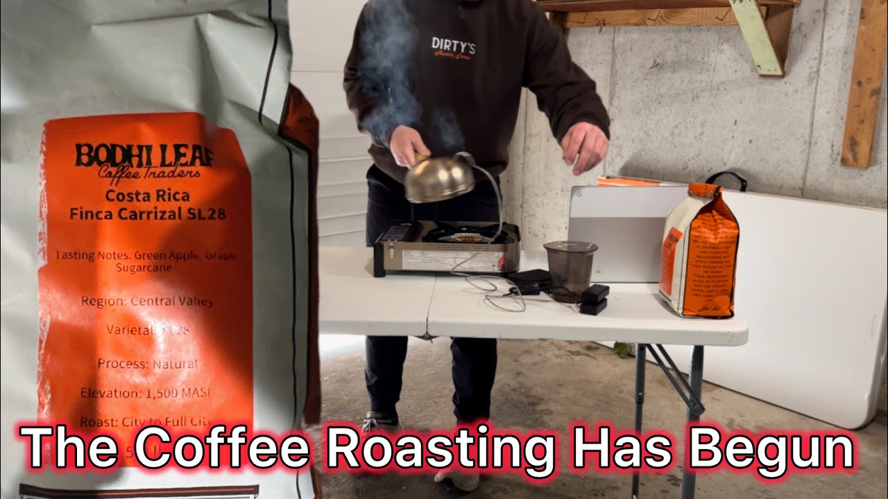 I Roasted Micro Batches of a Costa Rican Coffee | Hive Coffee Roaster ...