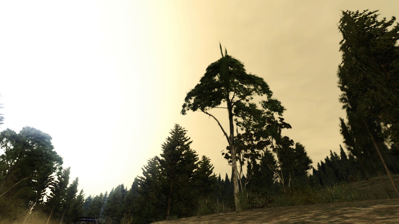 RBR NGP Reshade TEST - New Bobs - YouTube