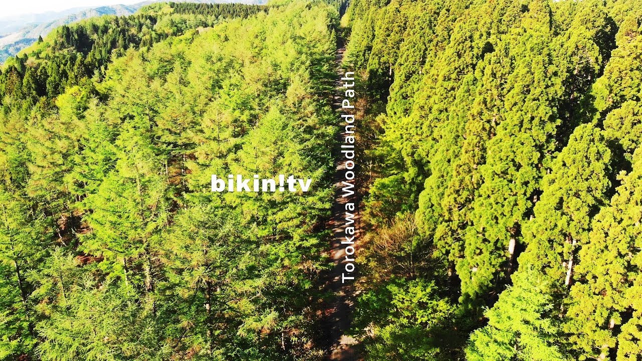 DJI MAVIC AIR Torokawa Woodland Path 瀞川林道 by グラベルバイク - YouTube