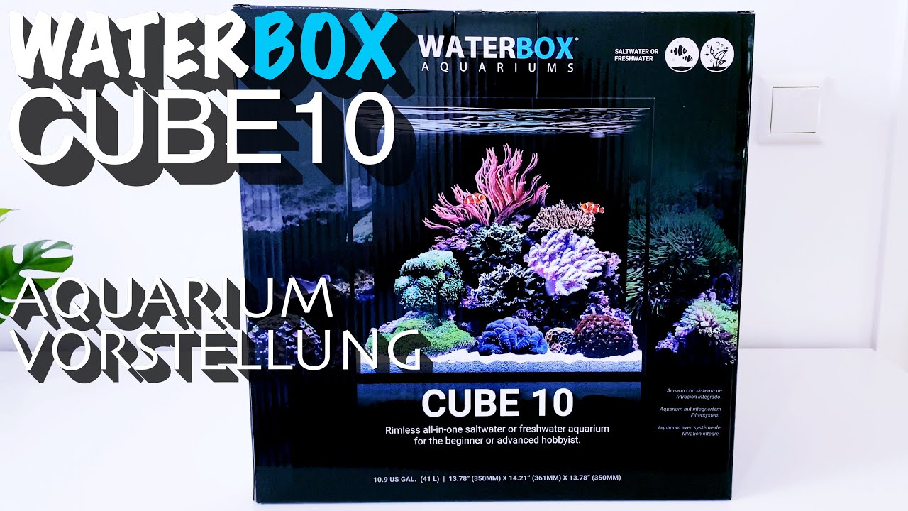 WATERBOX CUBE 10 Aquarium Vorstellung - YouTube