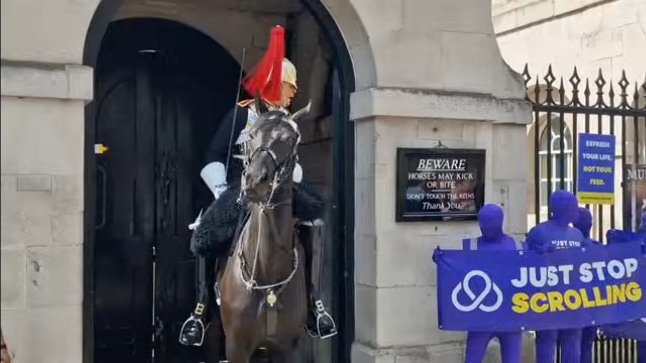 Kings guard shouts at Just stop scrolling protesters stand back from ...