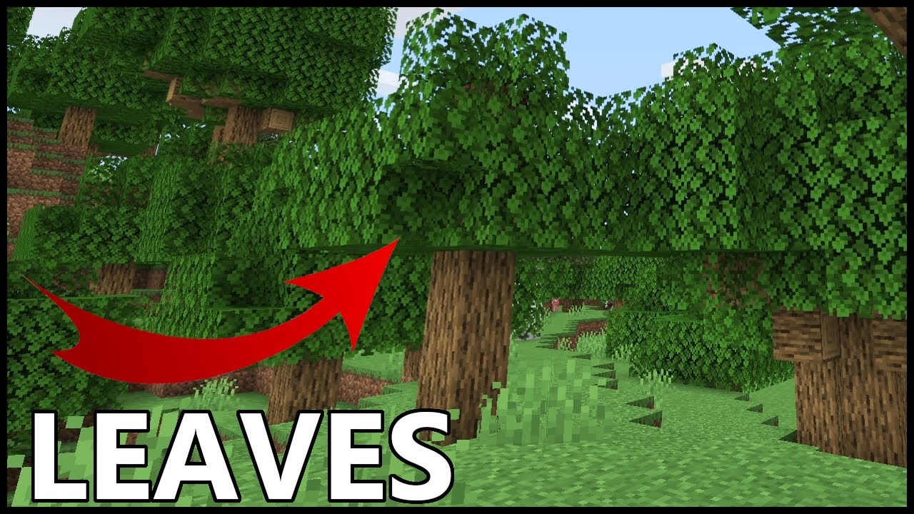 How To Get LEAVES In Minecraft YouTube how-to-get-leaves-in-minecraft-youtube