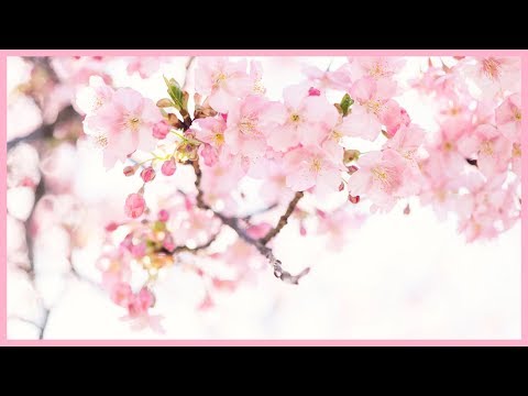 planet girl - lights turn low