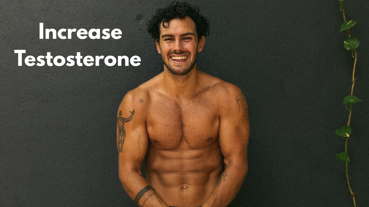 Fix Your Testosterone — The Key to a Lean, Aesthetic Body (No BS Guide ...