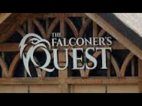 Warwick Castle Falconers quest (bird show)(of birds that I filmed at ...