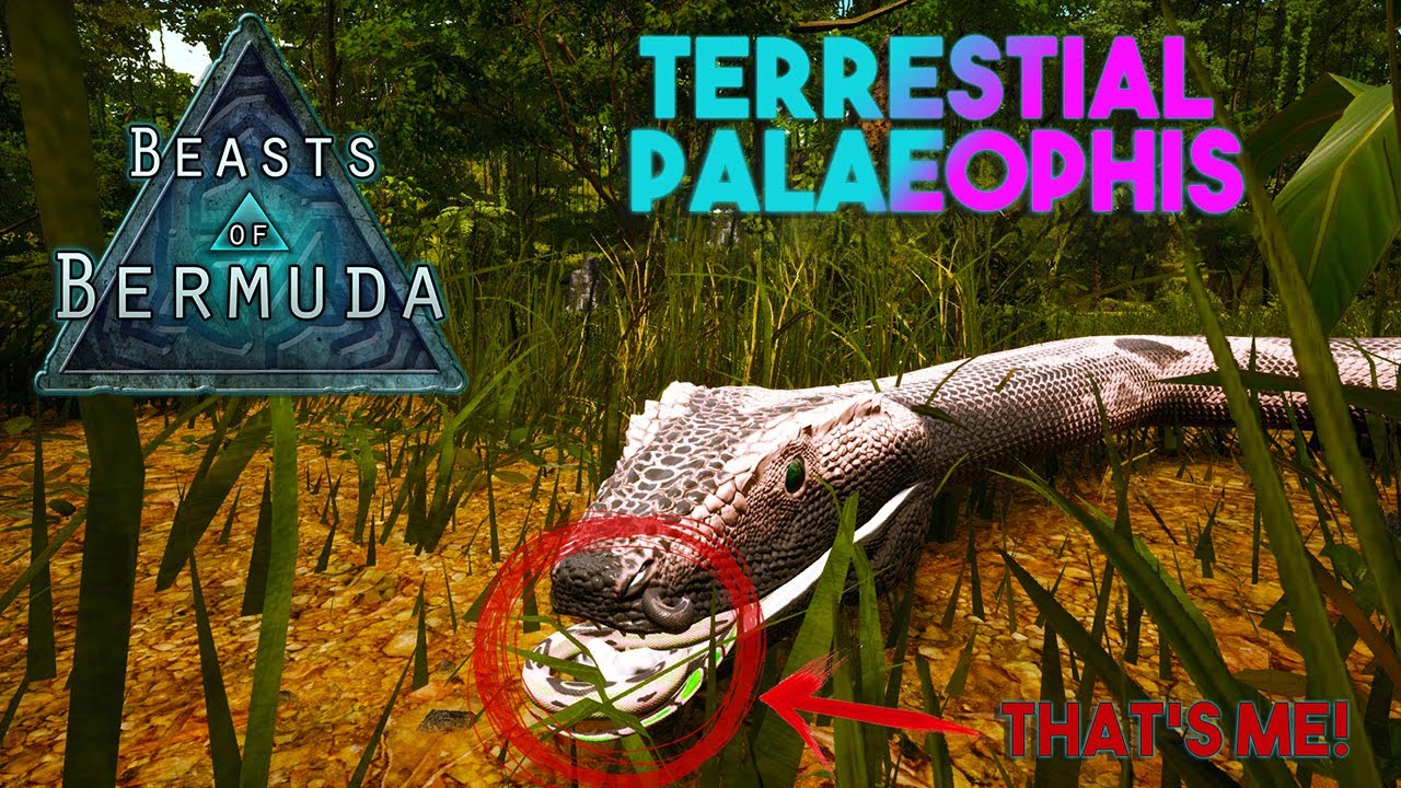 The Life And Suffering Of Little Noodle In Snake Infested World -Beasts ...