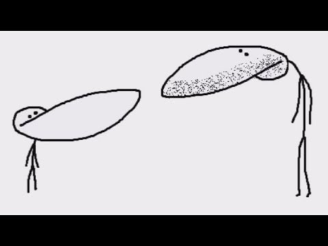 GradeAUnderA face reveal *REAL SHOCKING PROOF* - YouTube