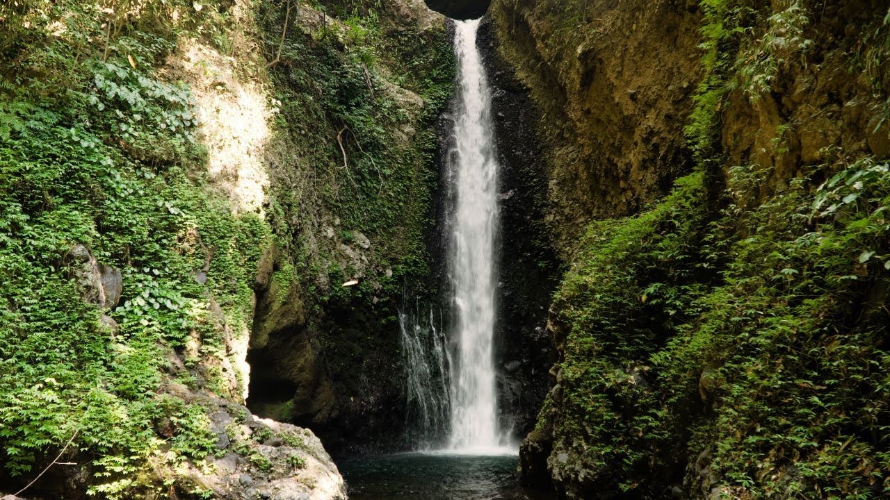Waterfall and Jungle Sounds Relaxing Tropical Rainforest- 6 Hours ...