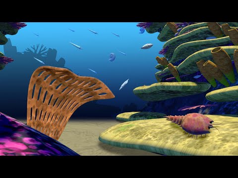 The Last Great Sponge Reefs