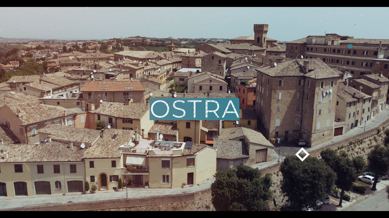 Ostra - Short Video 4k - YouTube