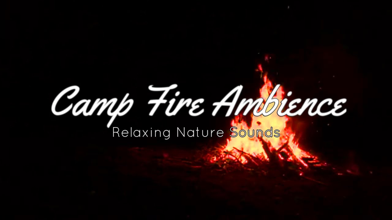 CAMP FIRE AMBIENCE | NATURE SOUNDS AT NIGHT FOR YOU TO RELAX BODY AND ...