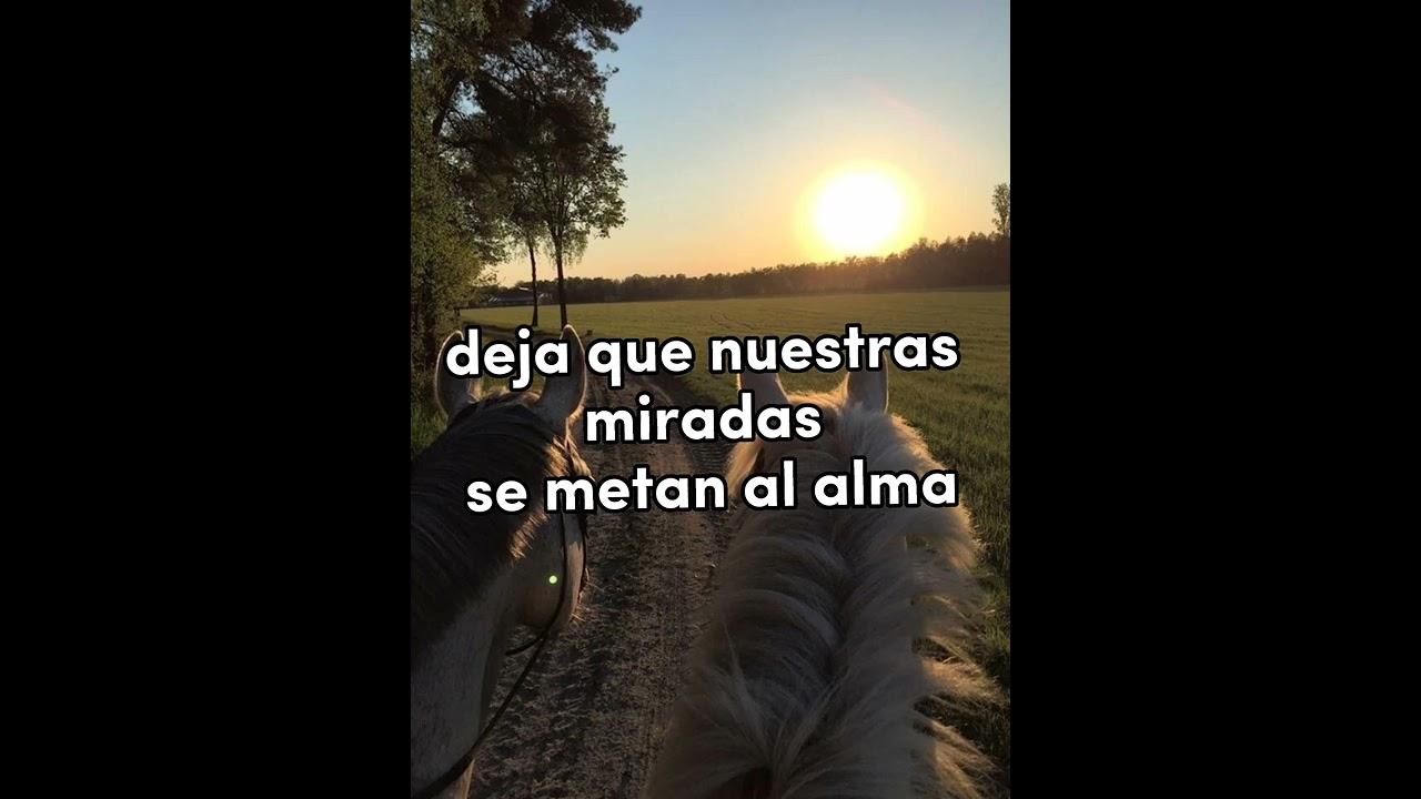 Deja- Banda el Recodo (Letra) - YouTube